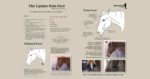 The Equine Pain Face - Horses and People