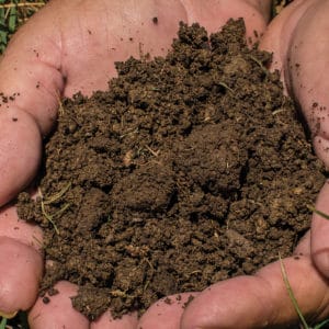 Soil Compaction, Renovating Damaged Pastures | Horses and People