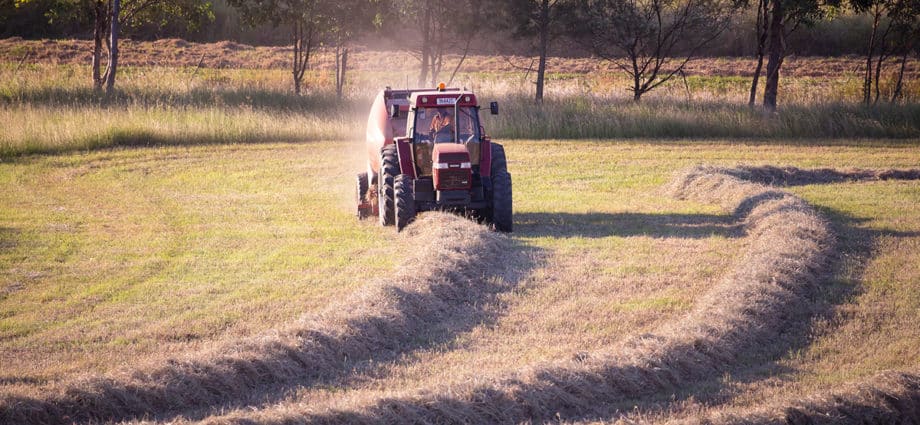 Hay Testing - Feed Properties of Hay | Horses and People