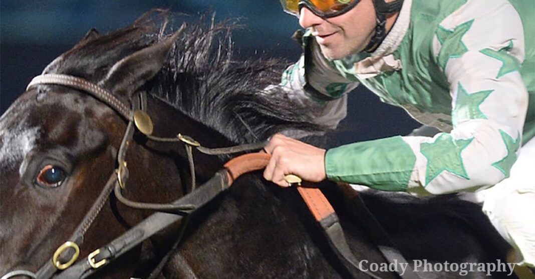 The shocking use of 'jiggers' in horse racing - Horses and People