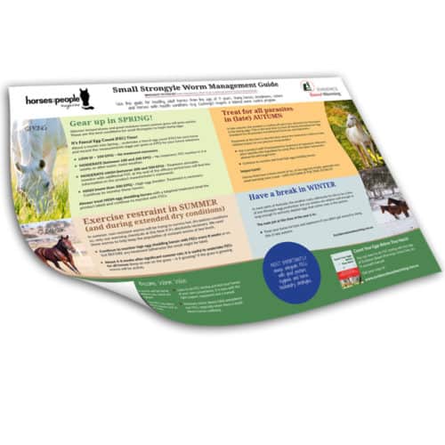 Small Strongyle Worm Management - Horses and People