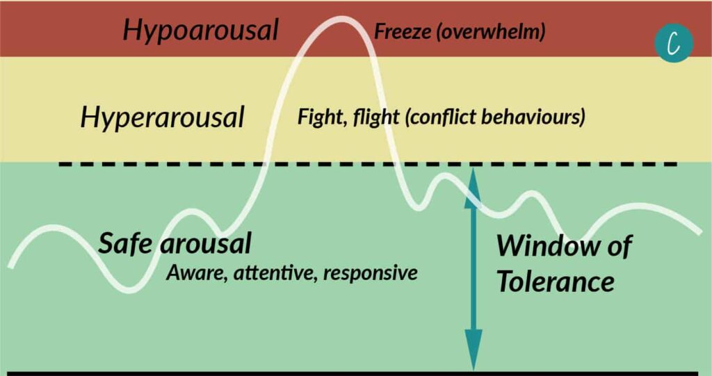 The Window of Tolerance - Horses and People