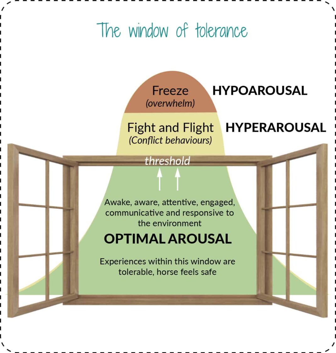 The Window of Tolerance - Horses and People