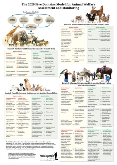 The 2020 Five Domains Model for Welfare Assessment