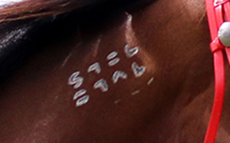 Standardbred Freeze Branding System Discontinued