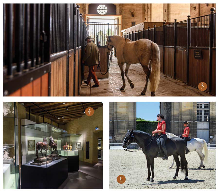 Bucket List of the World’s Best Horse Museums