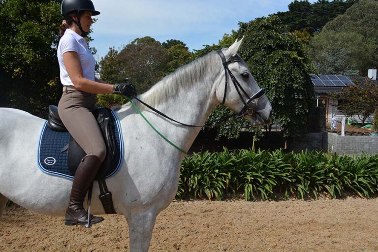 The Road to Bridle-less Explained