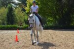The Road to Bridle-less Explained