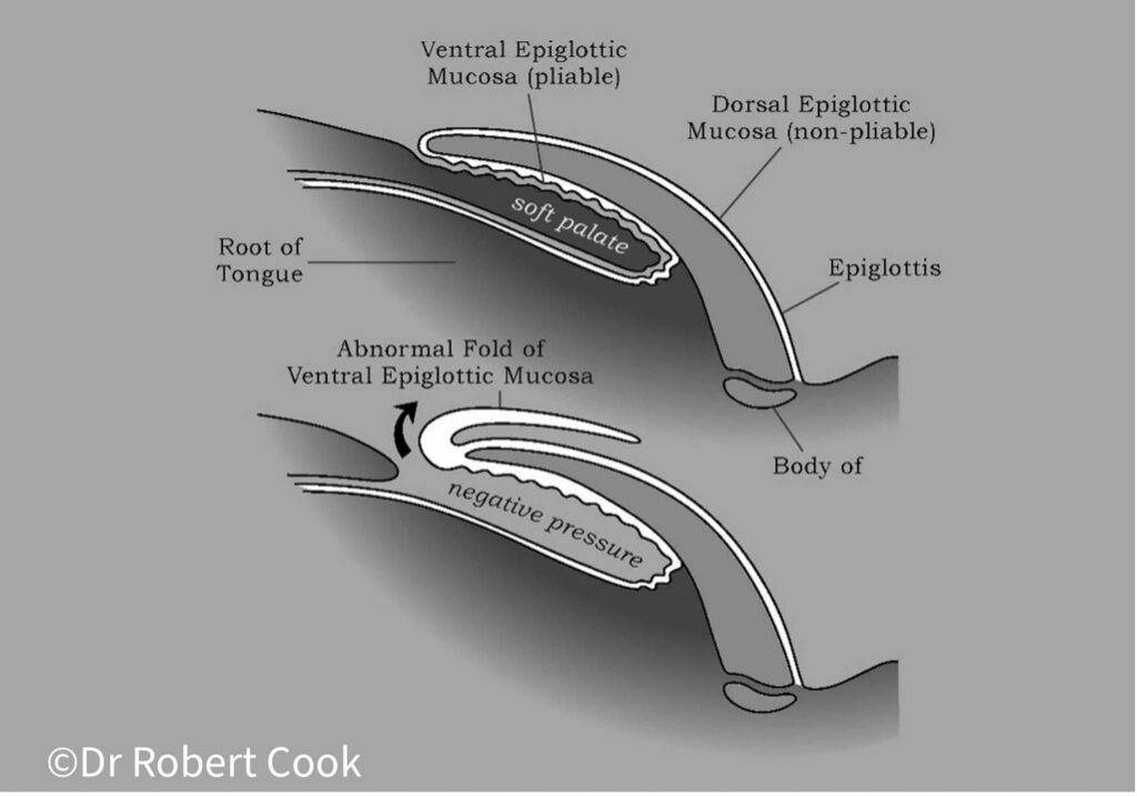 A Bit-FREE, Pain-FREE Future for the FREE-Breathing Horse