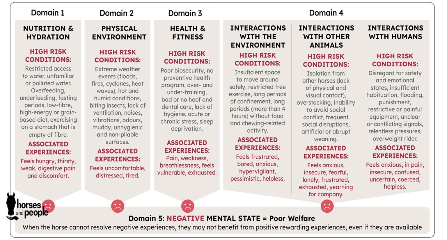 The Five Domains of Horse Welfare