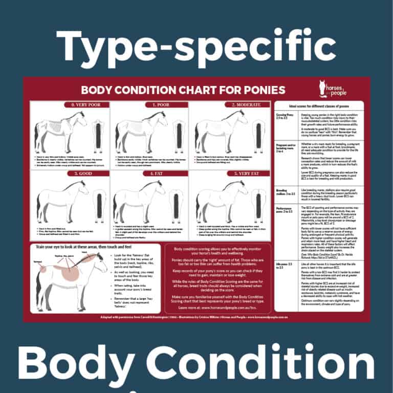 Horses and People Downloads Body Condition Chart for Heavy Horses ...